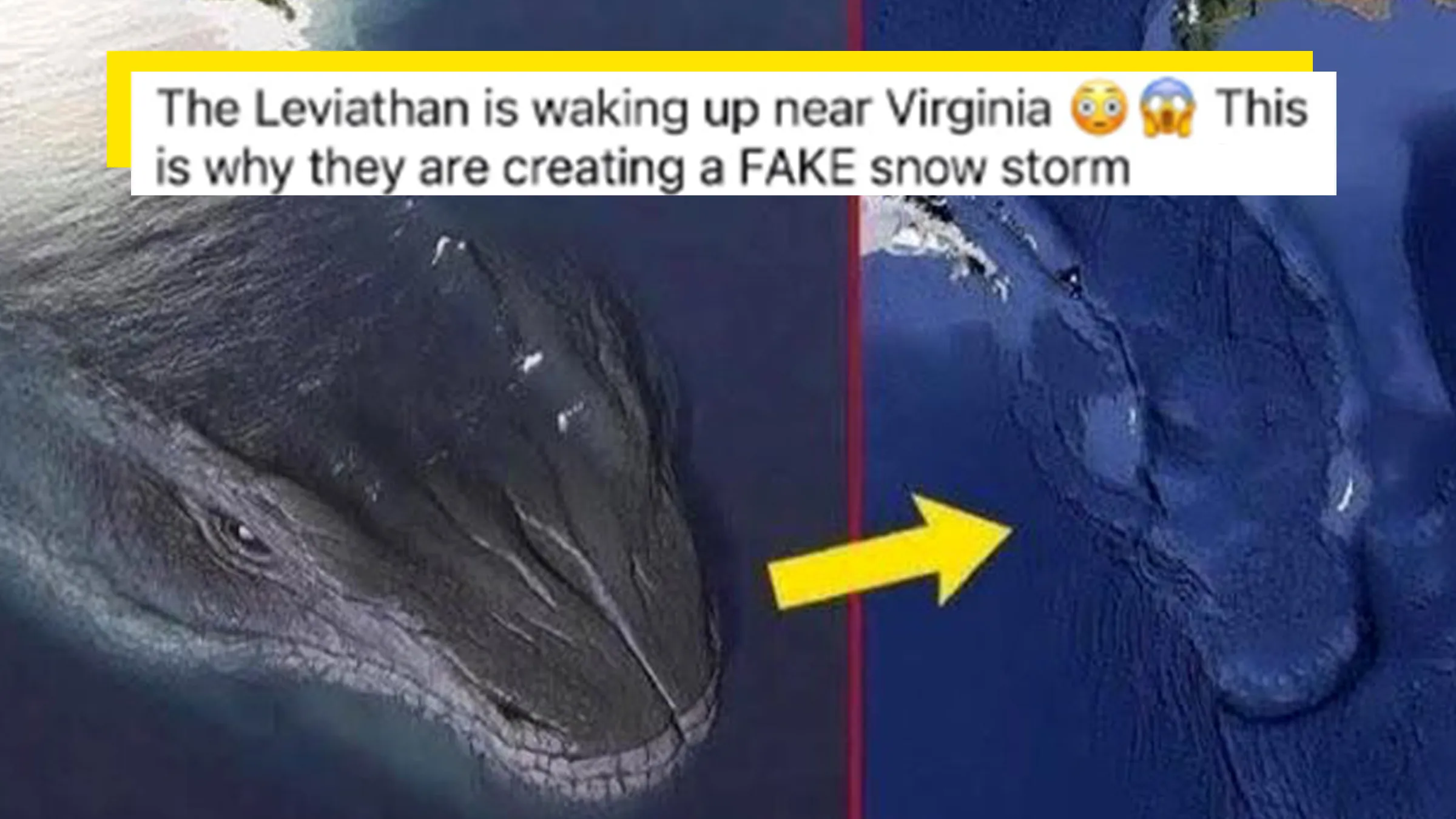 Conspiracy theorists think a “Leviathan” is waking up…and the snow is ...