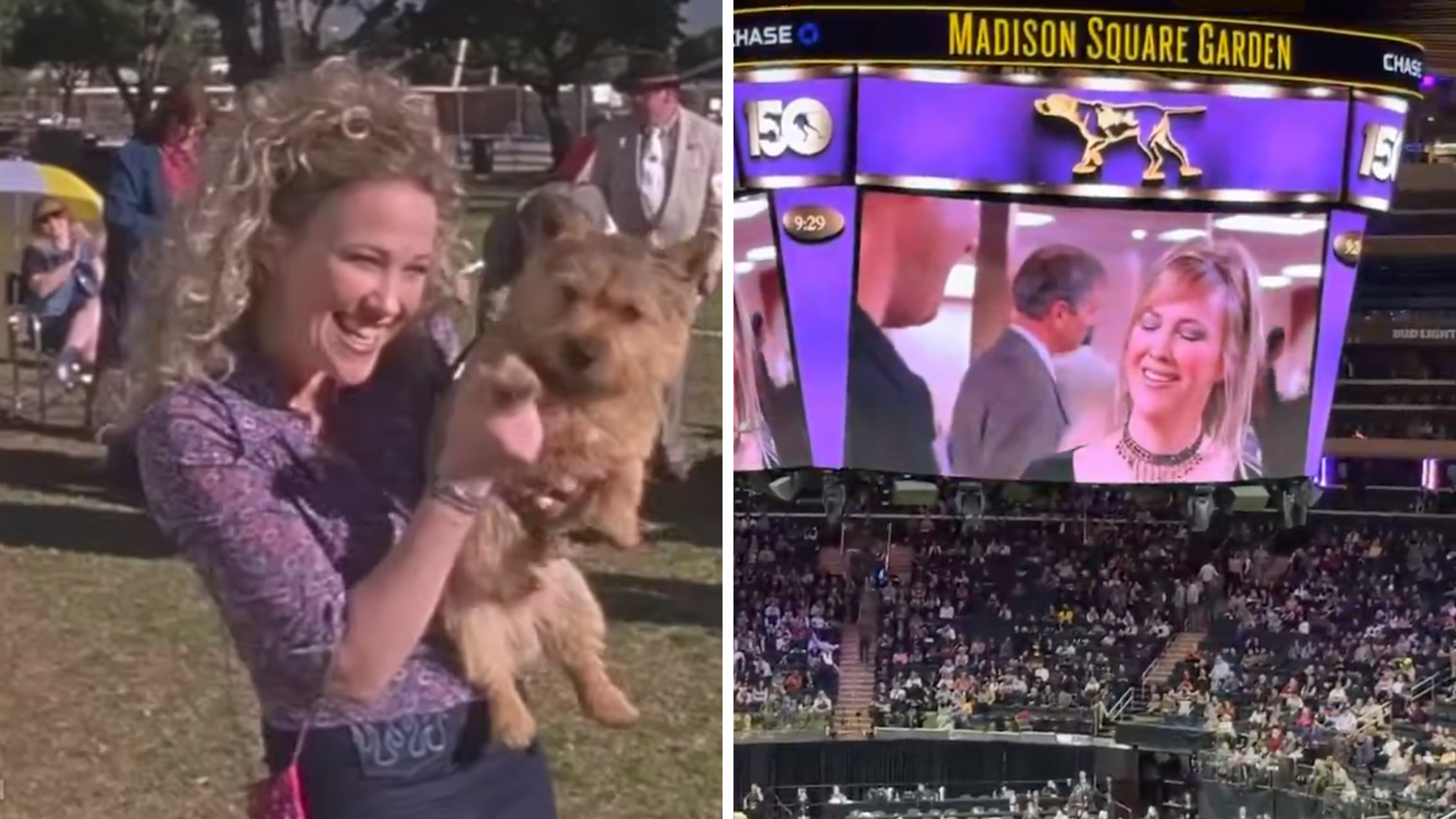 Catherine O’Hara was honored at the Westminster Dog Show in a brief-yet ...