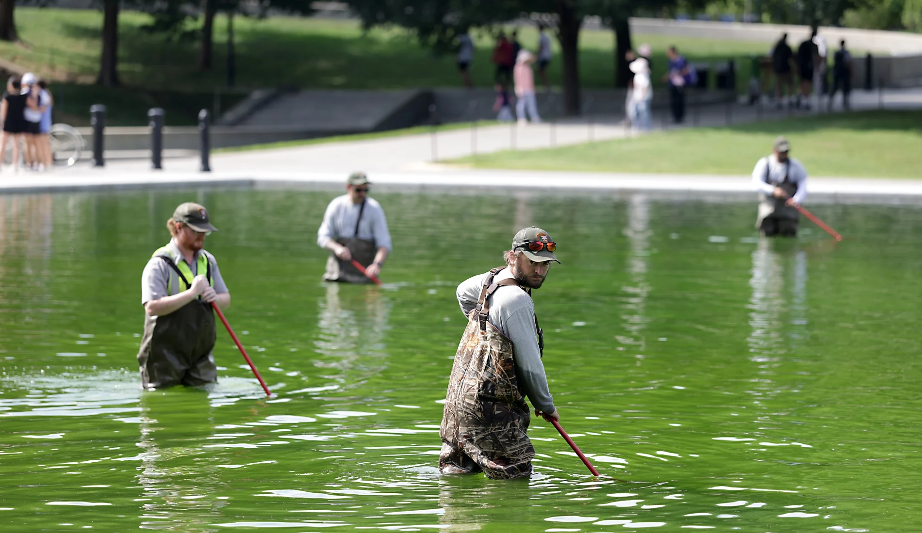 Reflecting Pool's Peeling Paint Maybe Be Worse Than The Algae ...